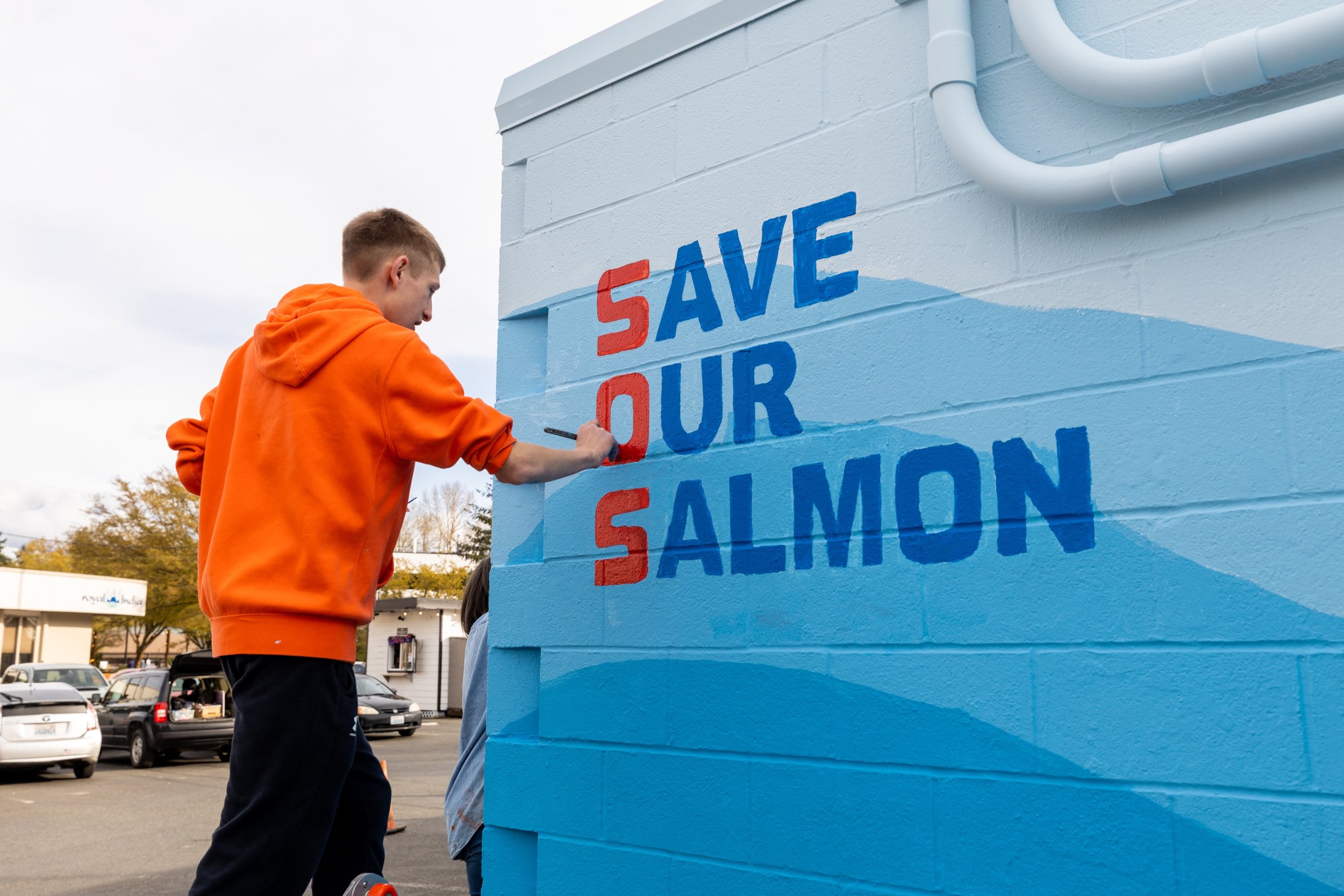 Save Our Salmon Murals (Copy) — Austin's Awesome Art