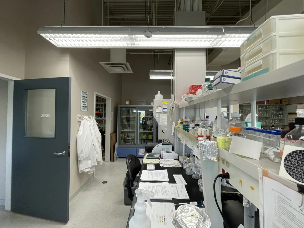 Save Our Salmon Mural - USGS Western Fisheries Research Center — Austin ...