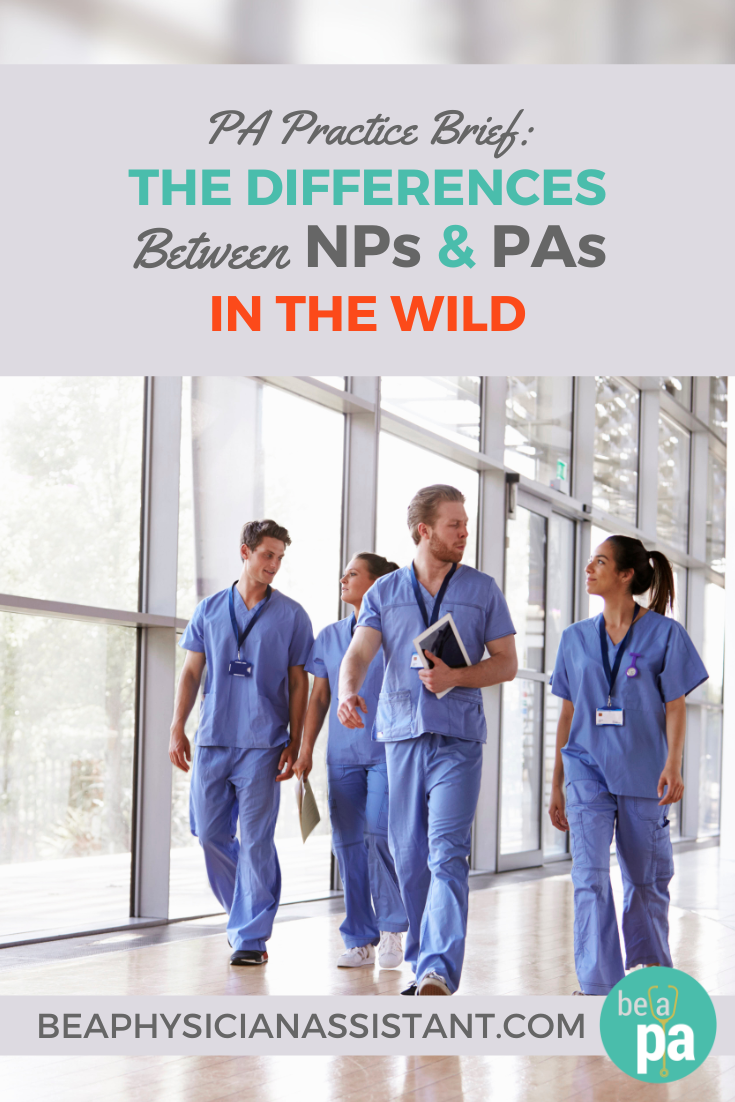 PA Practice Brief: The Differences Between NPs and PAs in the Wild｜Be a ...