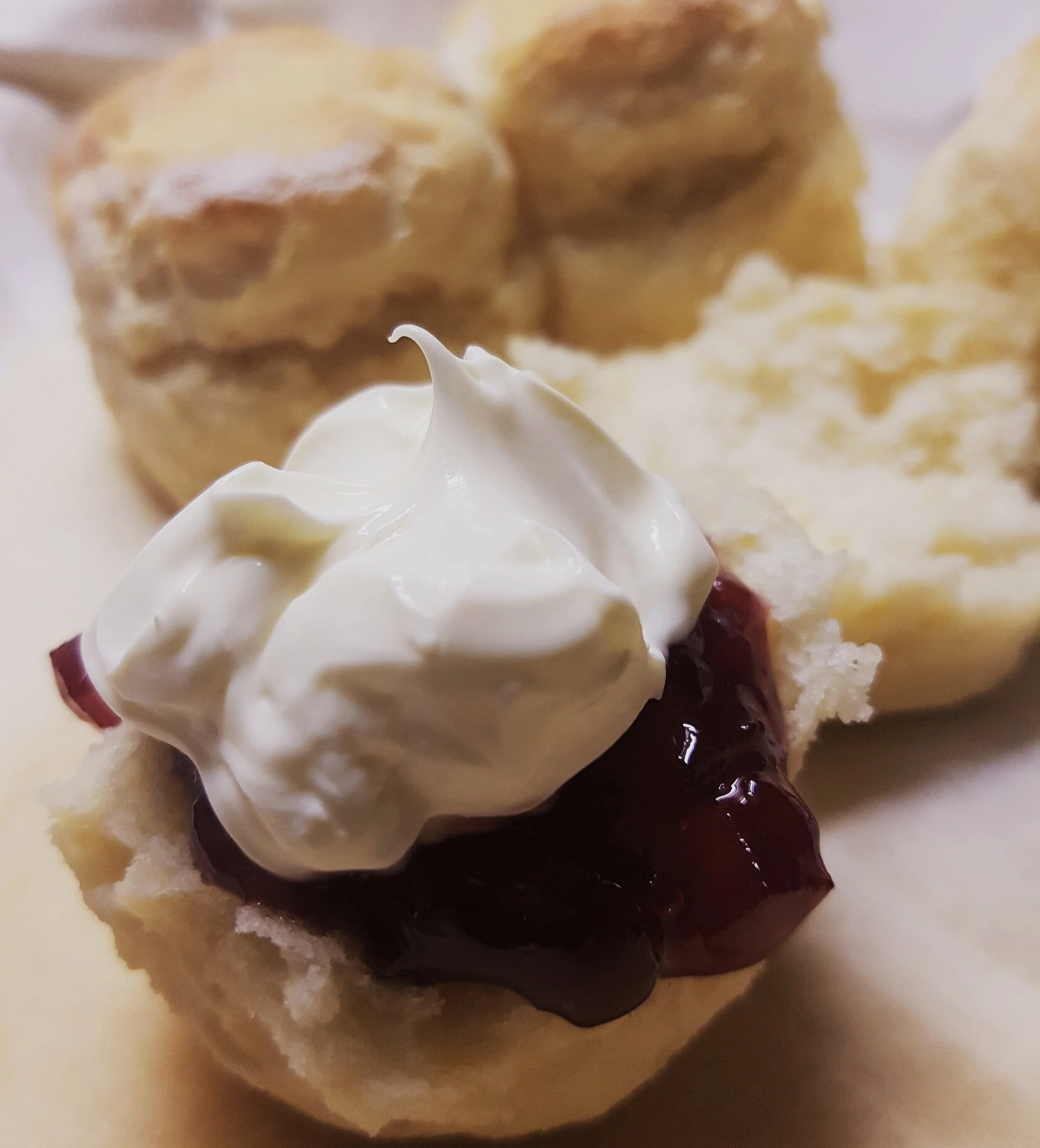 Sydney City CWA - Recipes