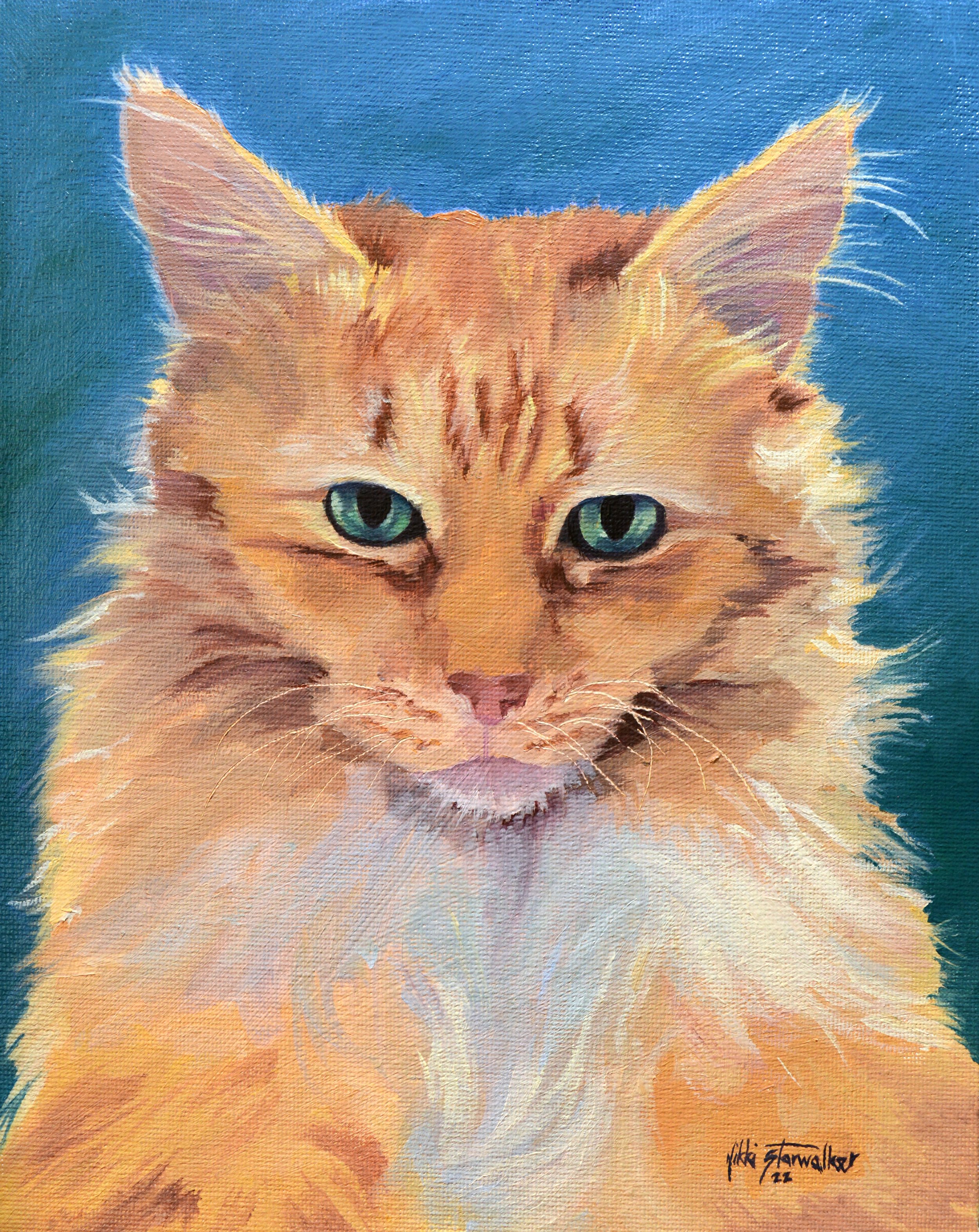 Pet Portraits — Nikki Starwalker