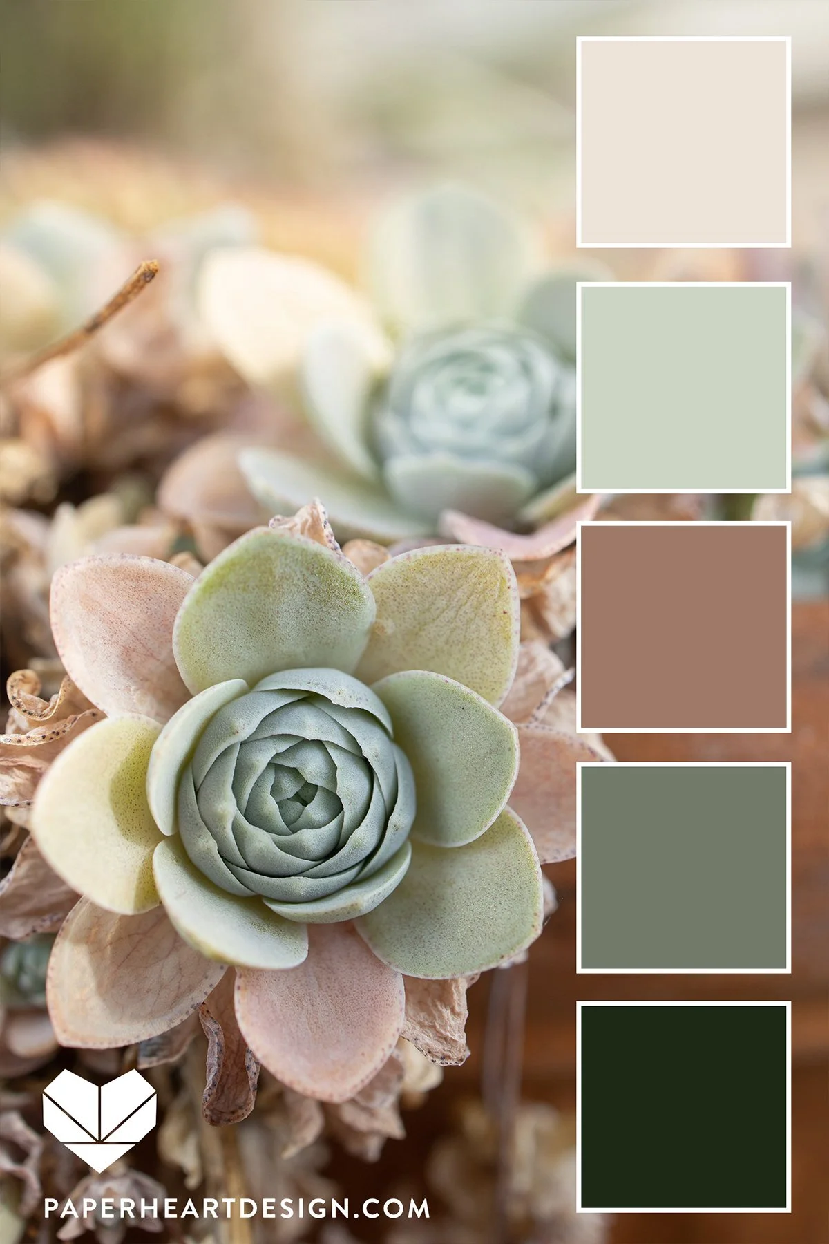 Color Palette: Mocha Mousse Pantone 2025 Color of the Year — Paper ...