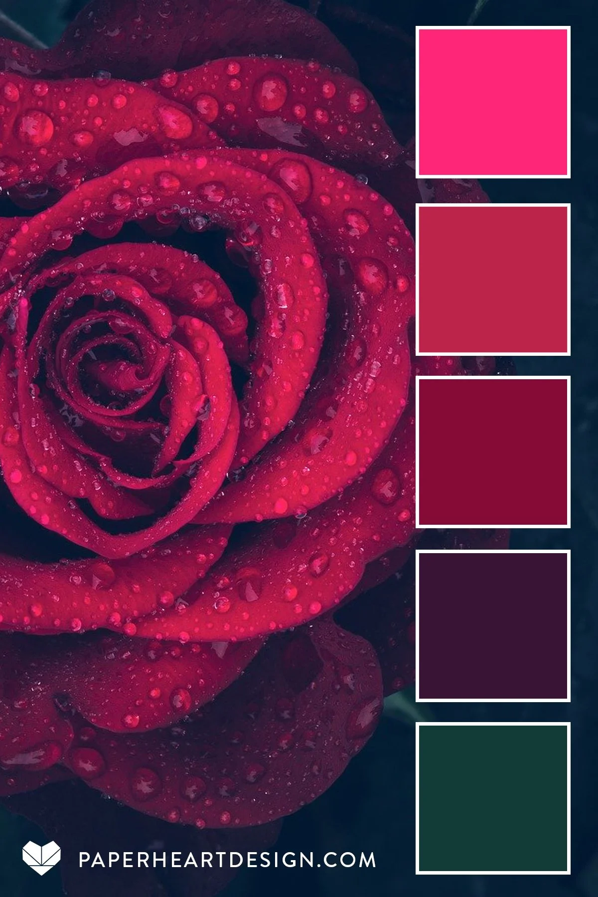Color Palette: Viva Magenta Pantone 2023 Color of the Year — Paper ...