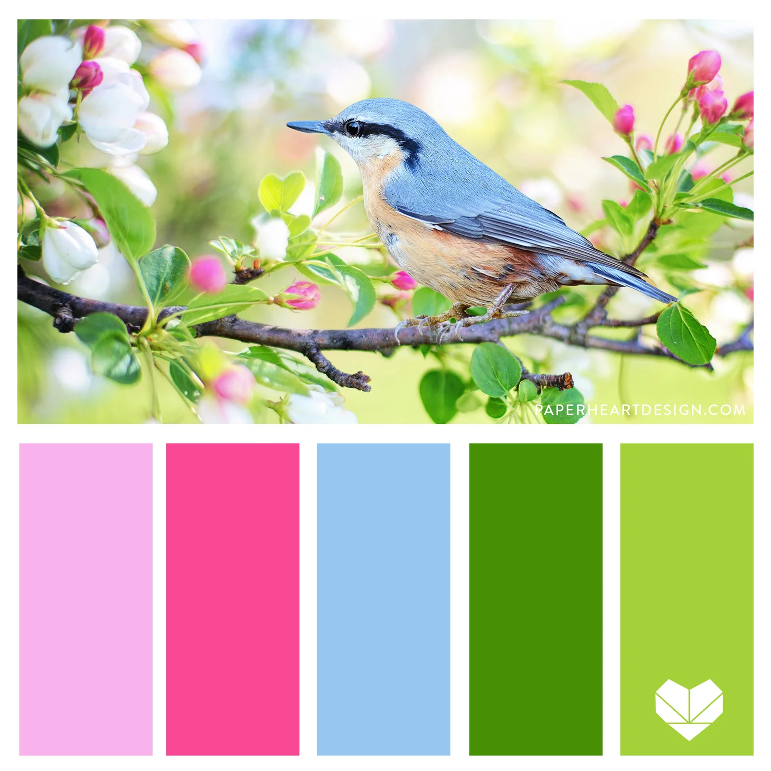 Color Palette: The Seasons — Paper Heart Design Co.