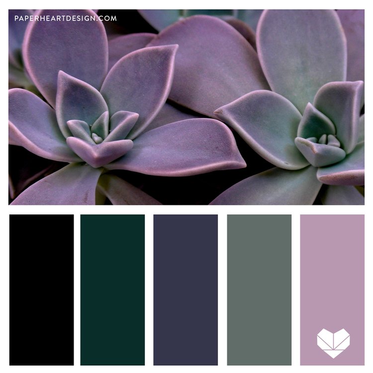 Color Palette: Sweet Succulents — Paper Heart Design Co.