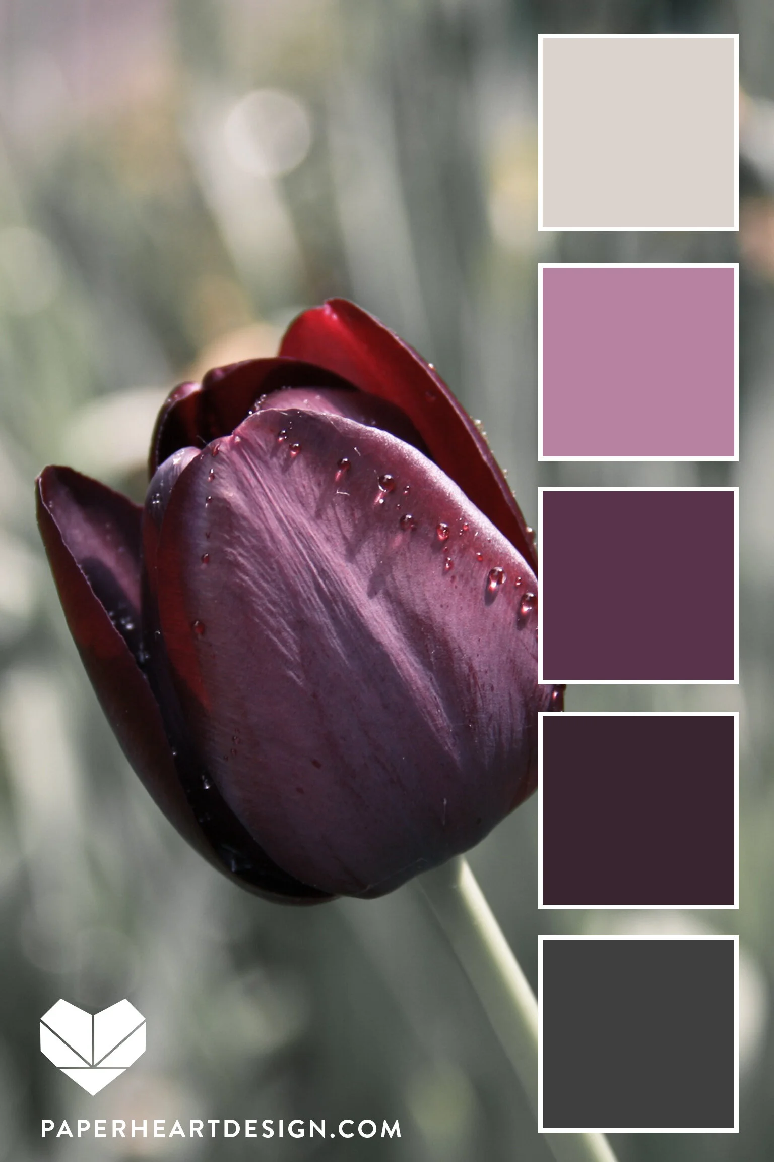 Color Palette: You Can Learn a Lot of Things From the Flowers — Paper ...