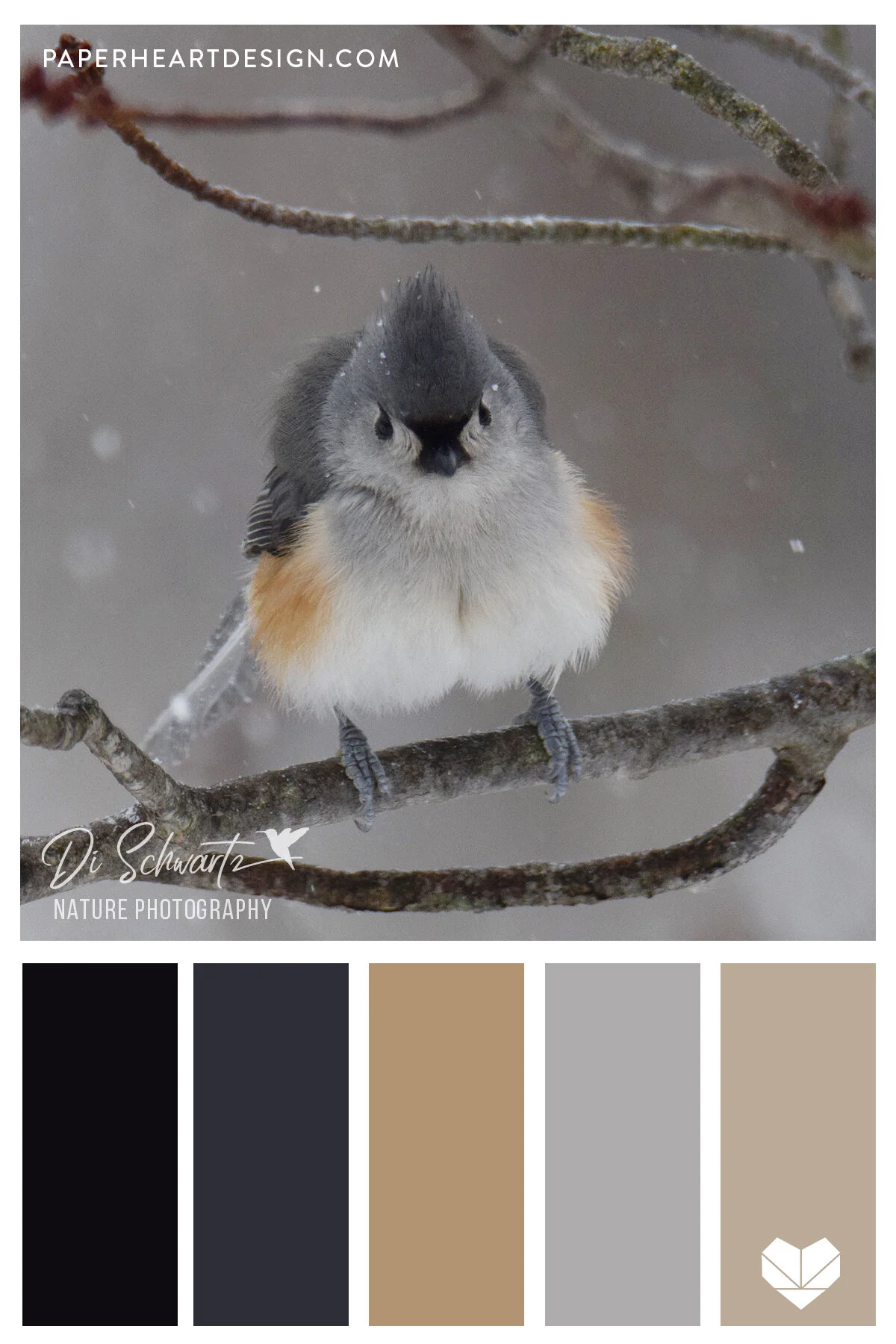 Color Palette: Little Birdie — Paper Heart Design Co.