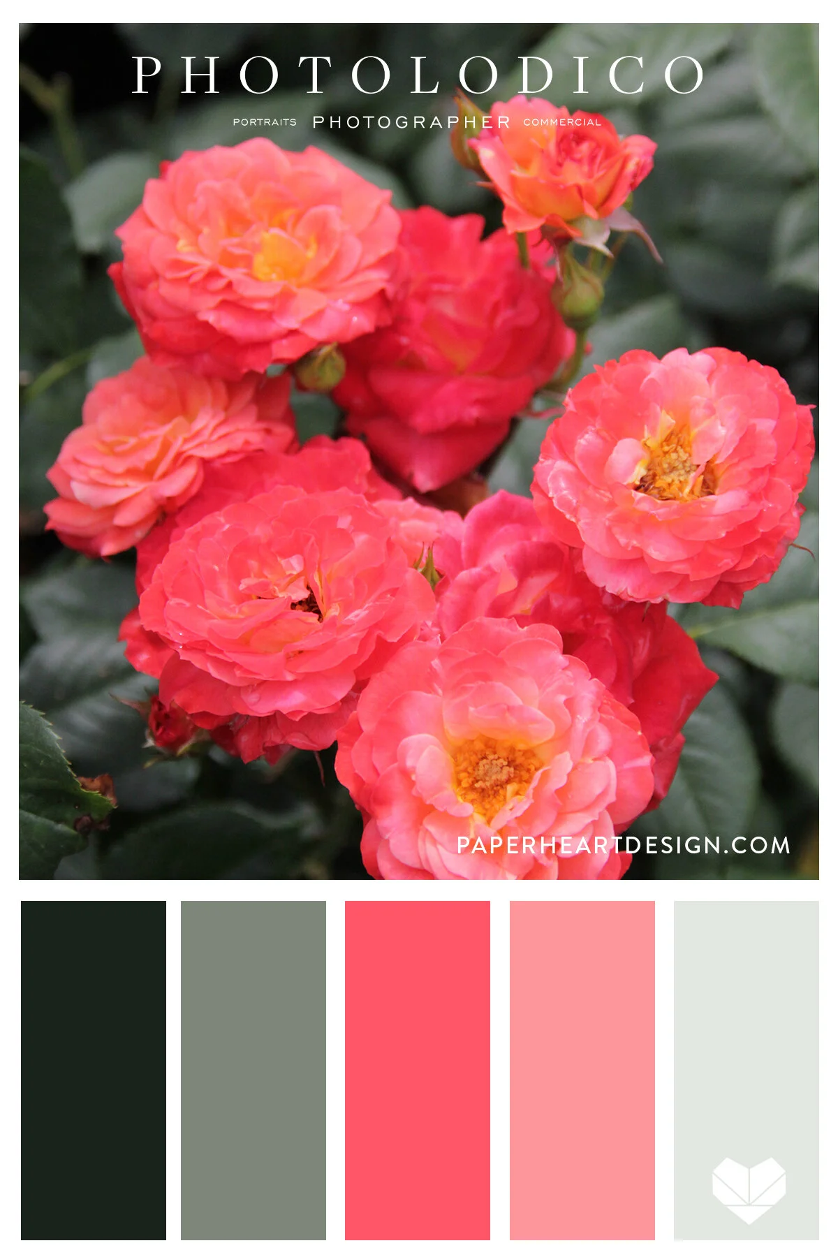 Color Palette: Rose Garden — Paper Heart Design Co.