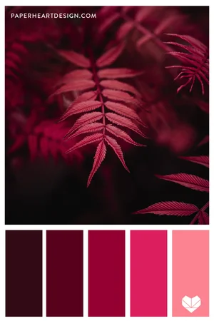 Color Palette: Radiant Reds — Paper Heart Design Co.