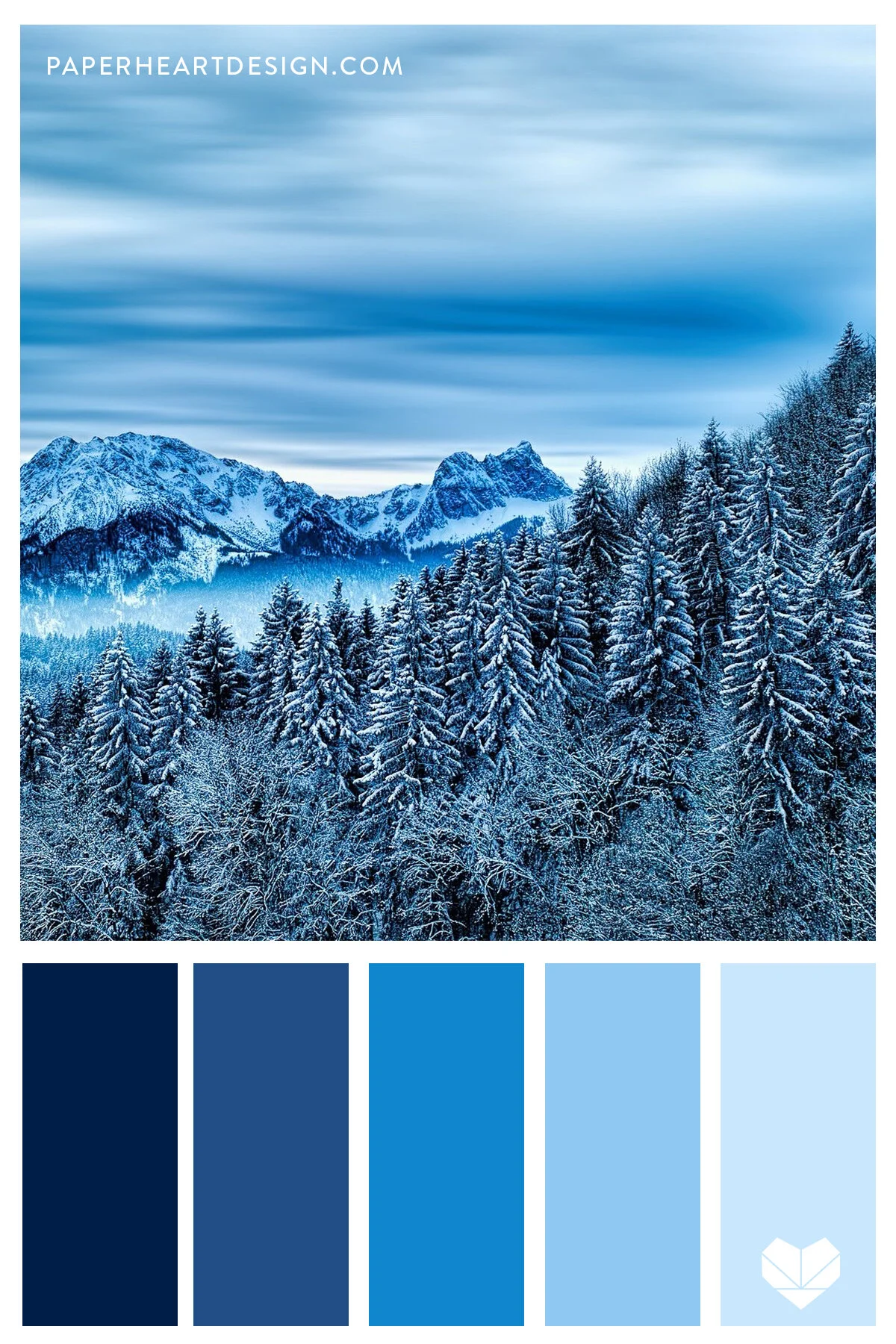 Color Palette: Forest Floor — Paper Heart Design Co.