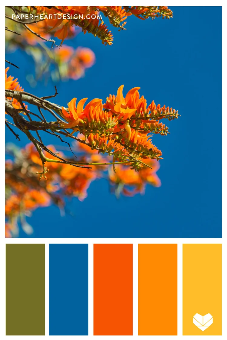 Color Palette: Outstanding Orange — Paper Heart Design Co.