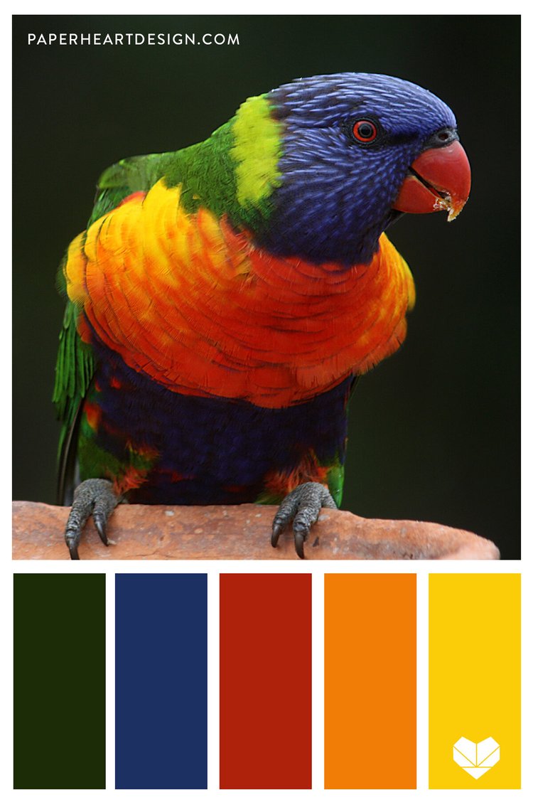 Color Palette: Outstanding Orange — Paper Heart Design Co.