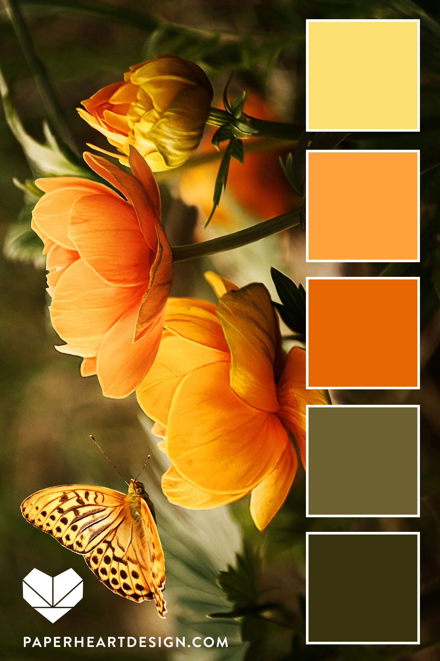 Color Palette: Outstanding Orange — Paper Heart Design Co.