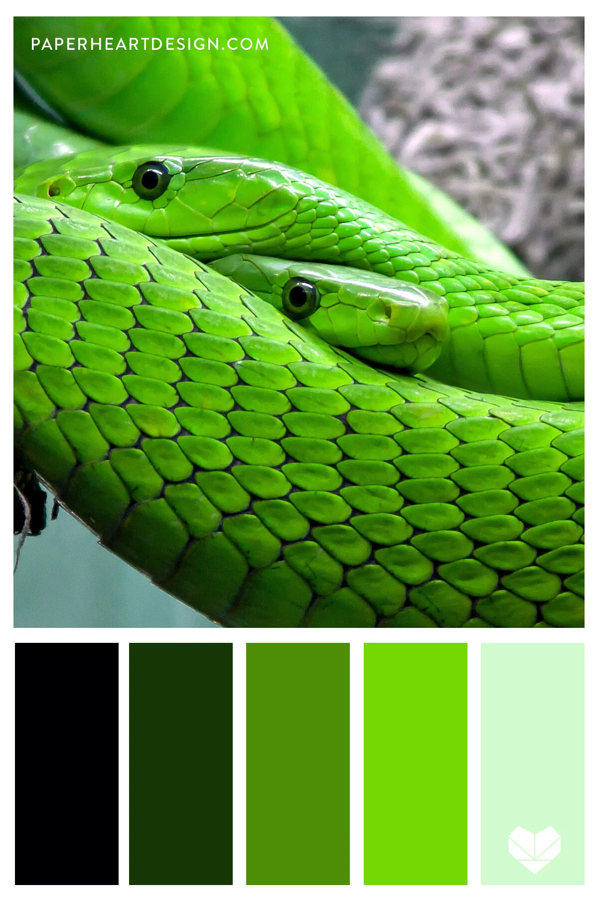 Sage Green Color Scheme Cheapest Online Save 44 Jlcatj gob mx
