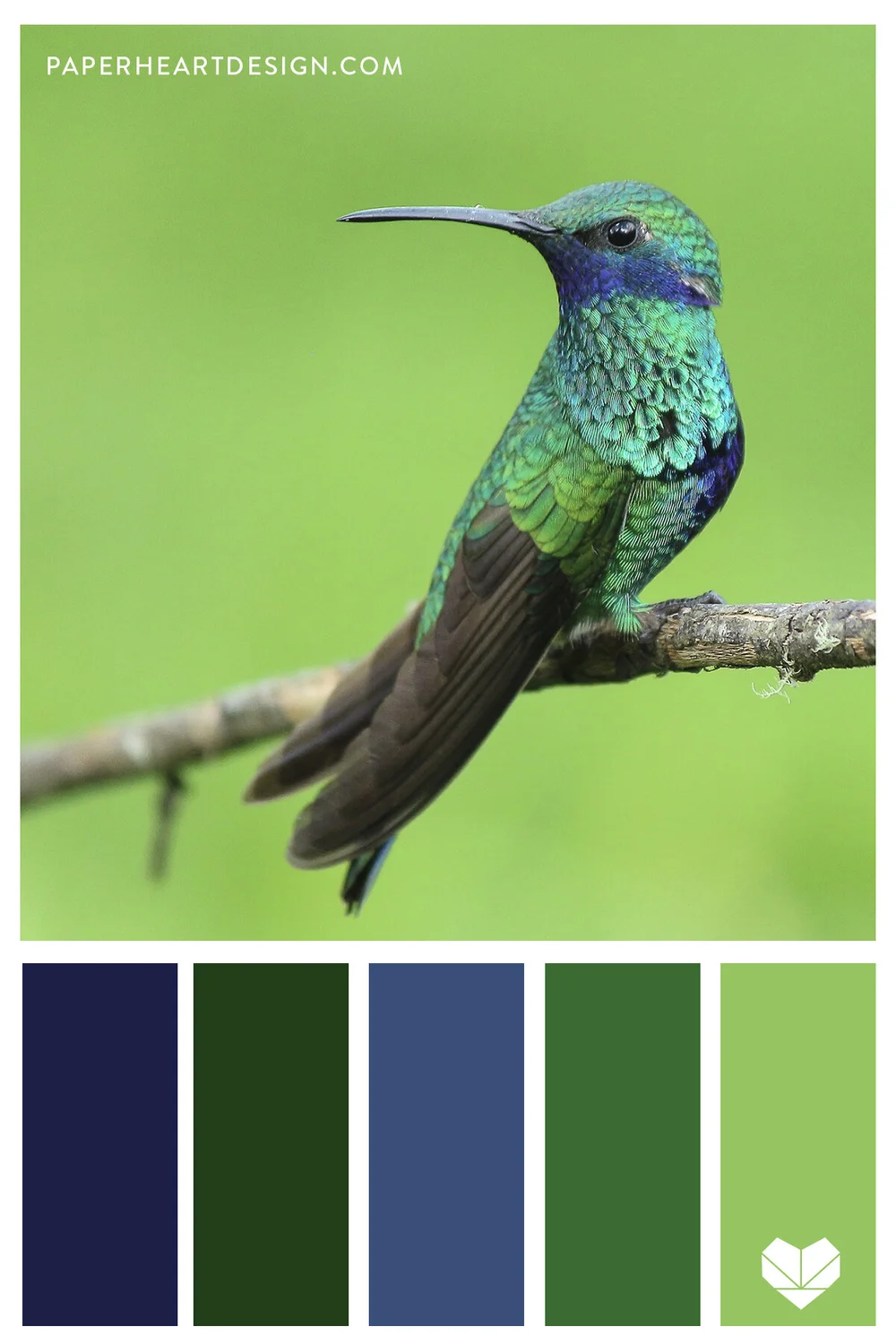 Color Palette: Gorgeous Green — Paper Heart Design Co.