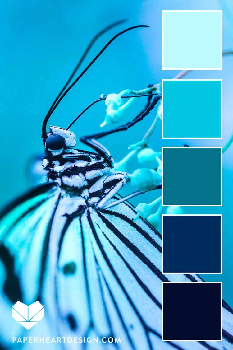 Color Palette: True Blue — Paper Heart Design Co.