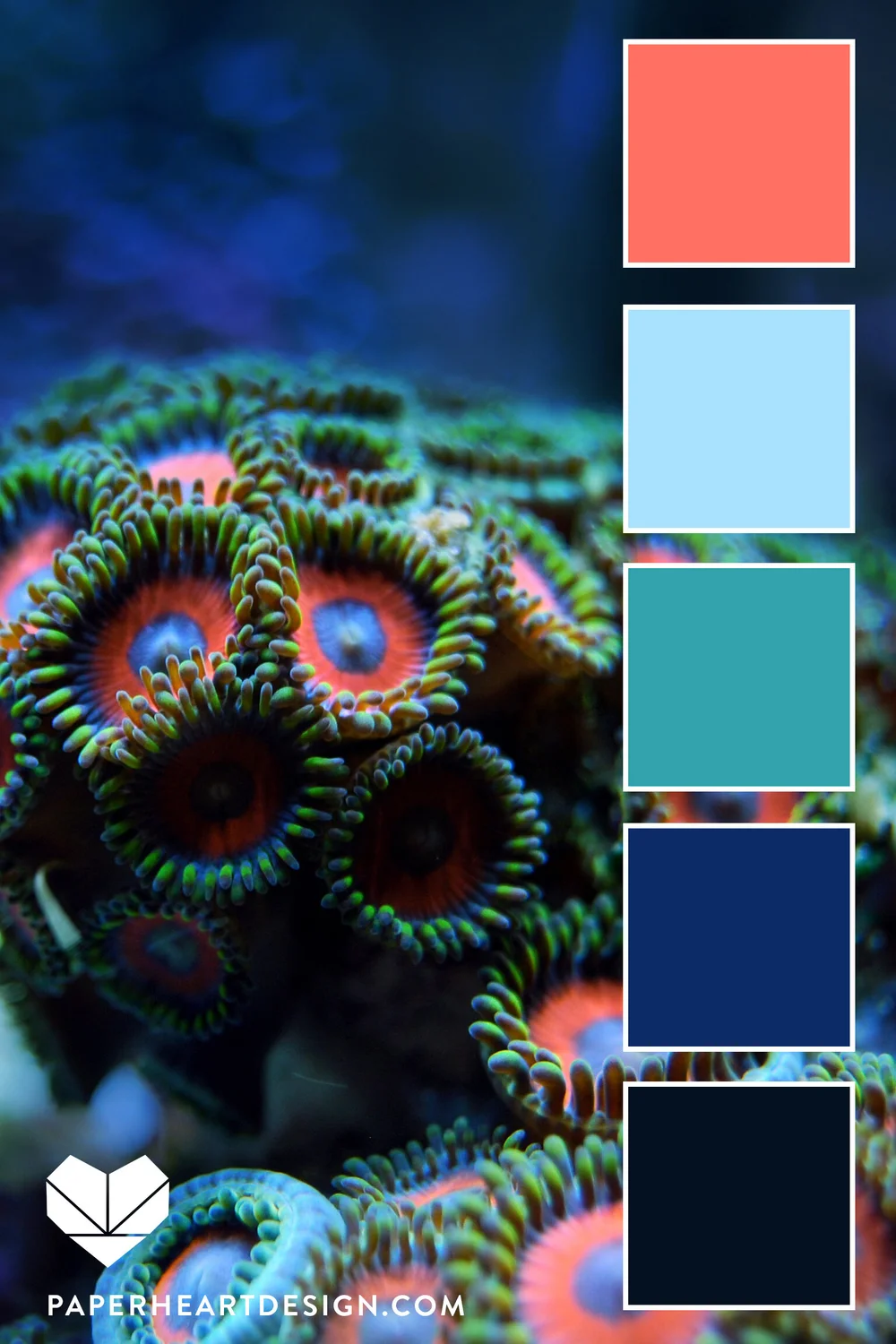 Color Palette: True Blue — Paper Heart Design Co.
