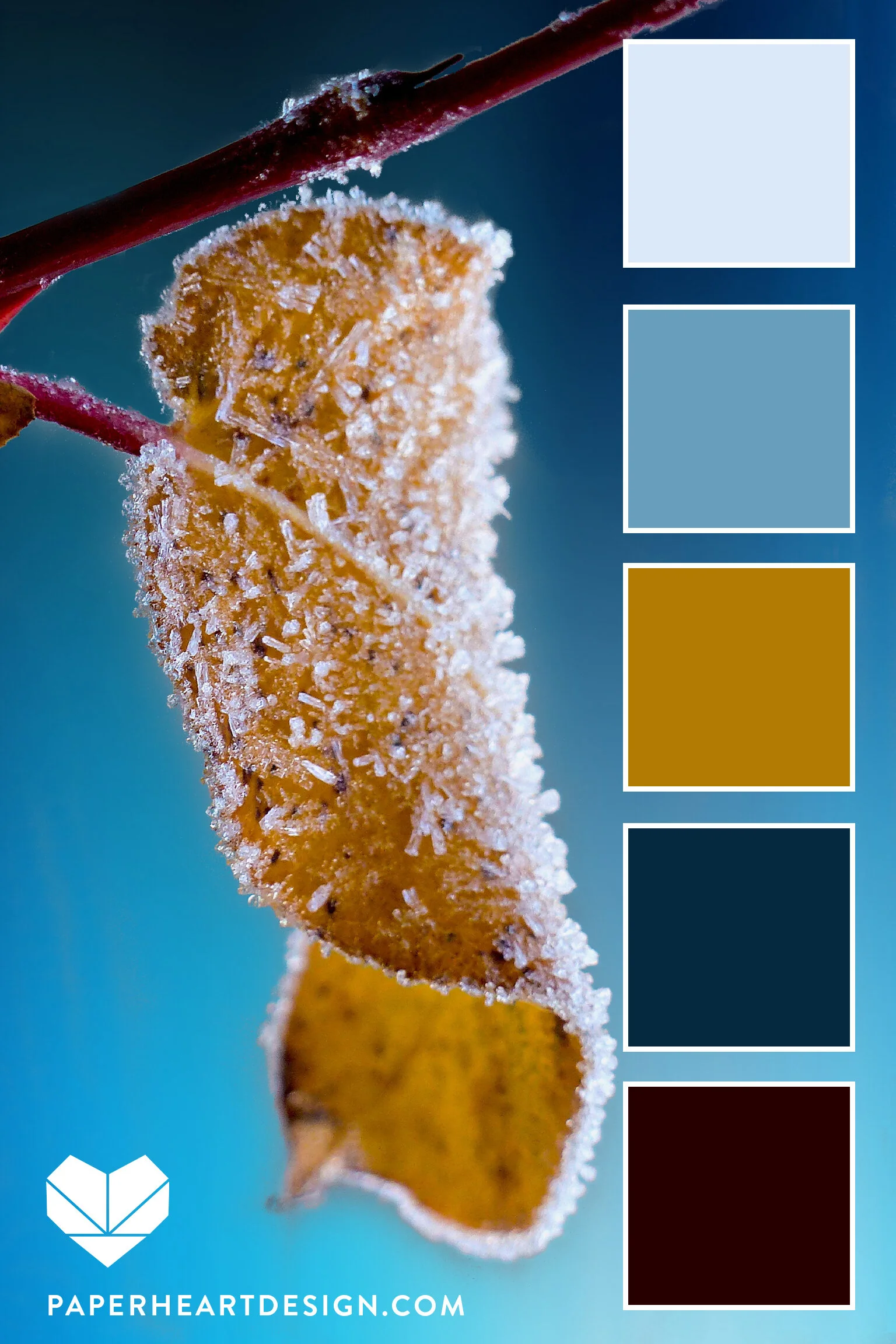 Color Palette: True Blue — Paper Heart Design Co.