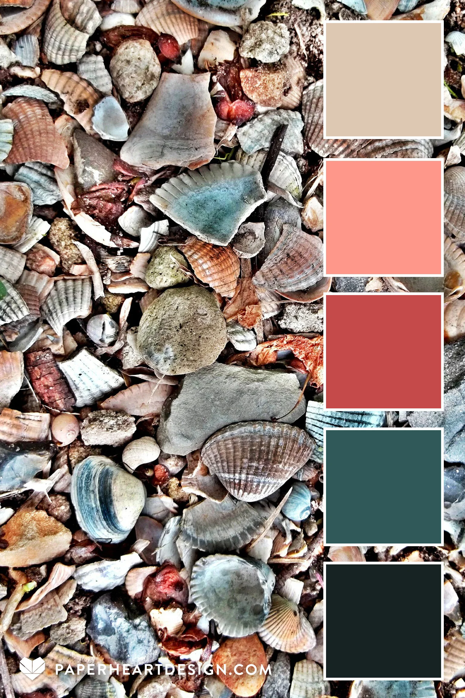 Color Palette: She Sells Sea Shells — Paper Heart Design Co.