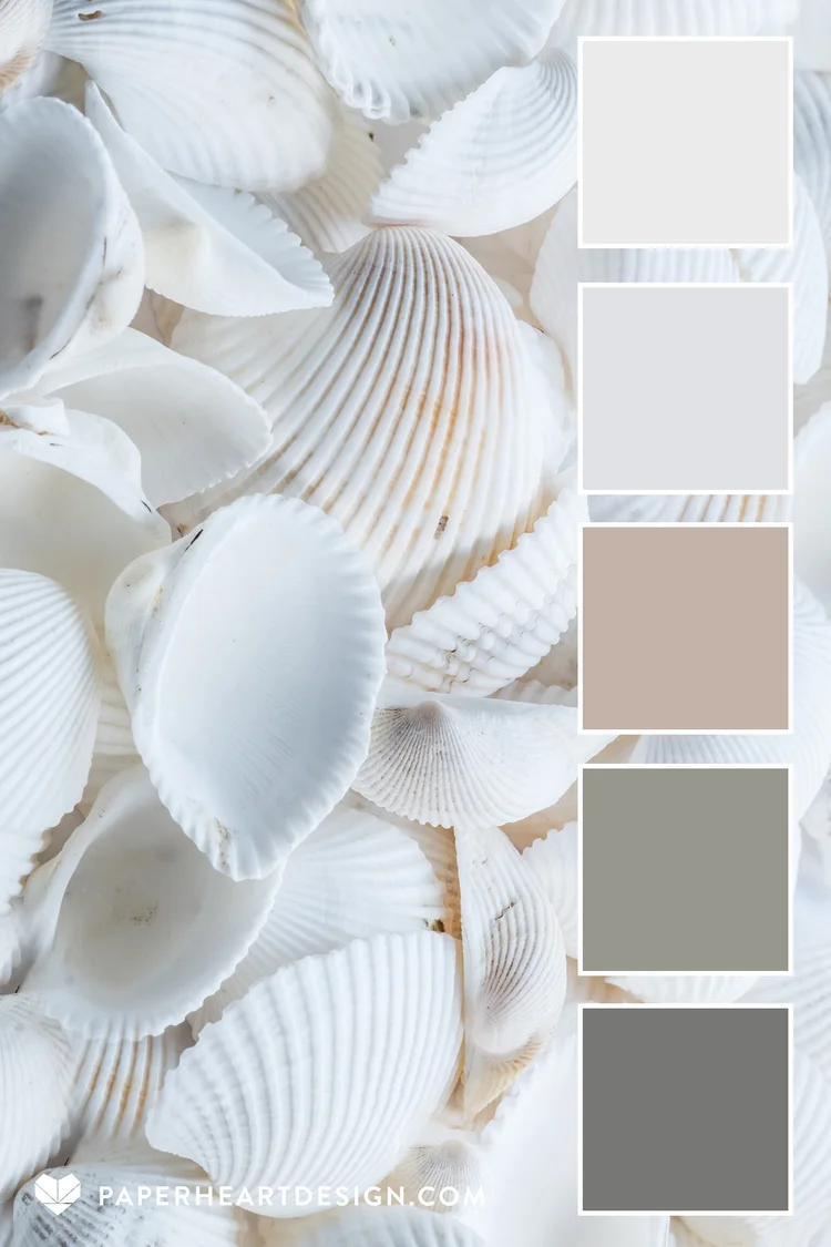 Color Palette: She Sells Sea Shells — Paper Heart Design Co.