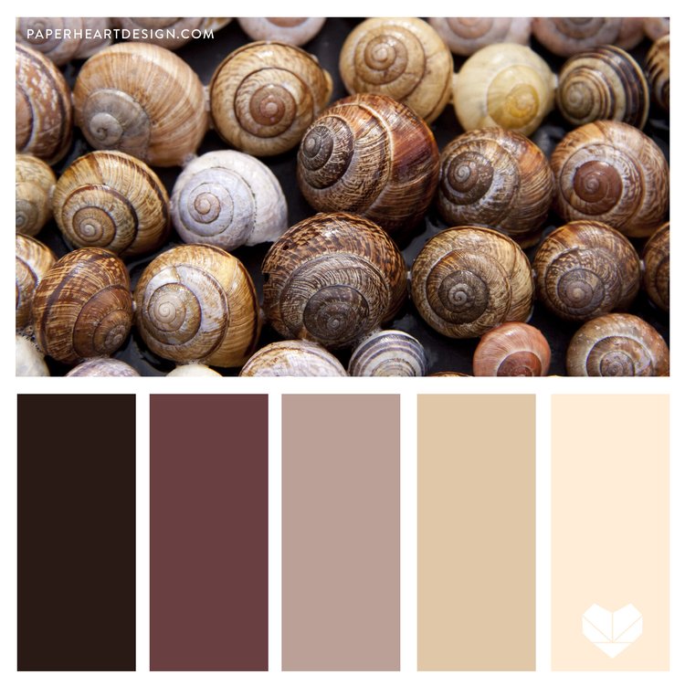 Color Palette: She Sells Sea Shells — Paper Heart Design