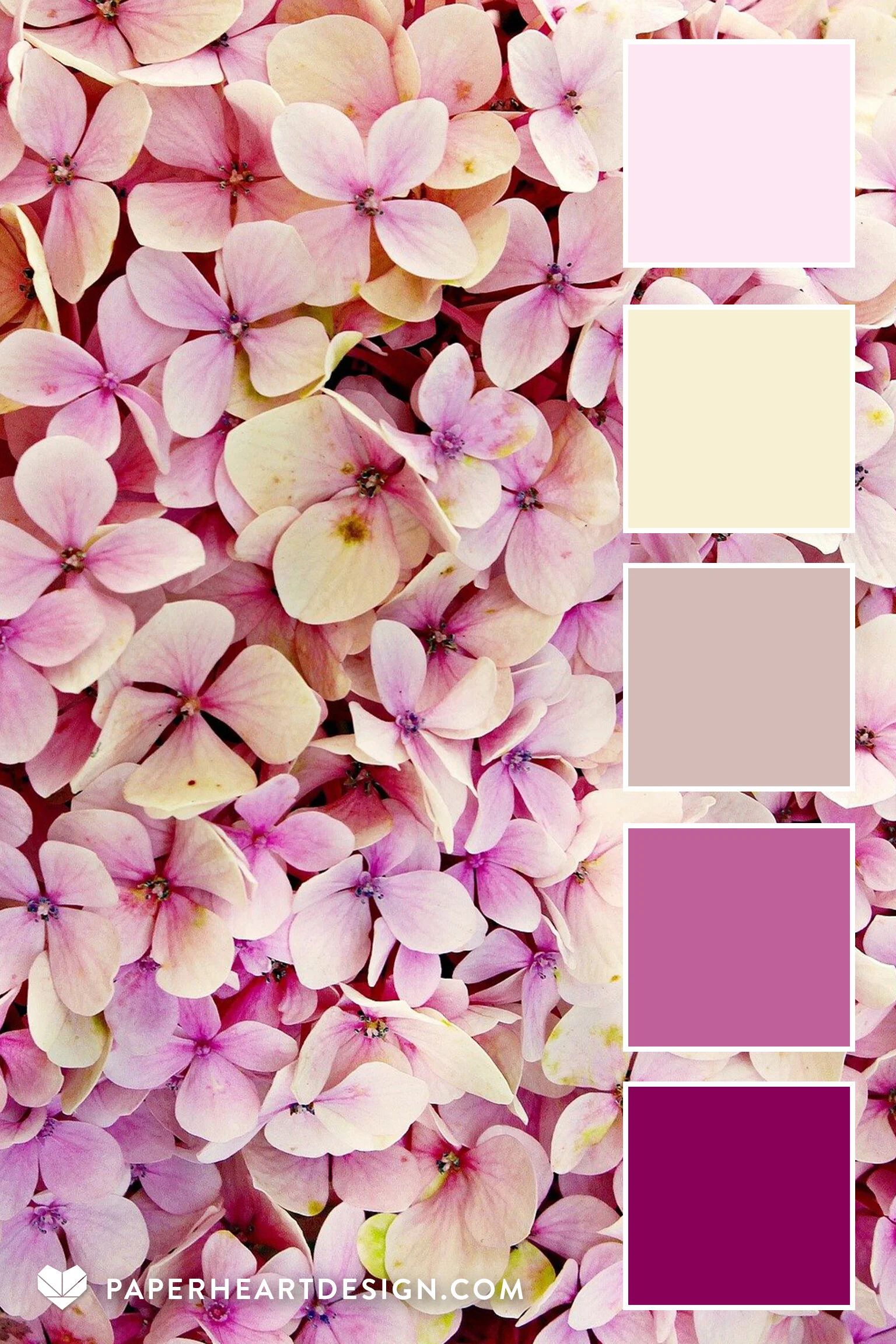Color Palette: Never Enough Flowers — Paper Heart Design Co.