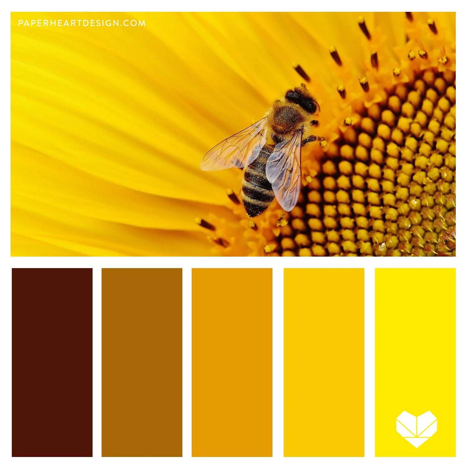 Color Palette: Sweet Sunflowers — Paper Heart Design