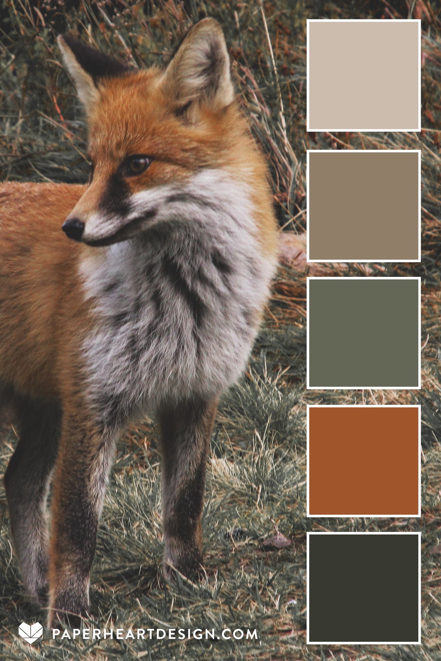 Color Palette: Nothing but Neutrals — Paper Heart Design Co.