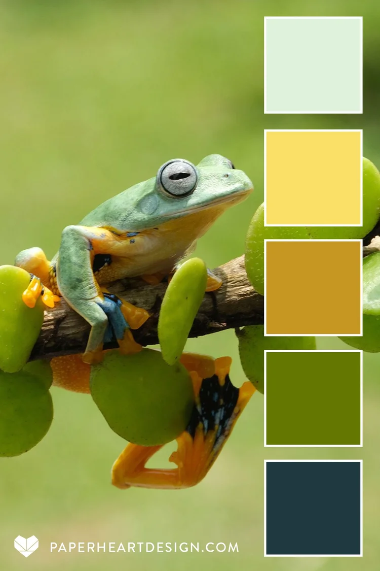 Color Palette: Frogs & Flora — Paper Heart Design Co.