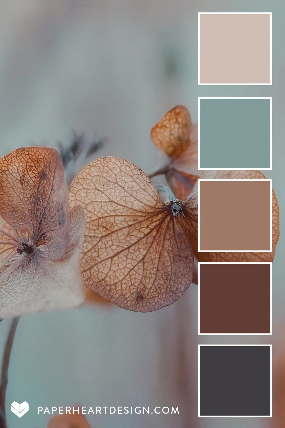 Color Palette: Mocha Mousse Pantone 2025 Color of the Year — Paper ...