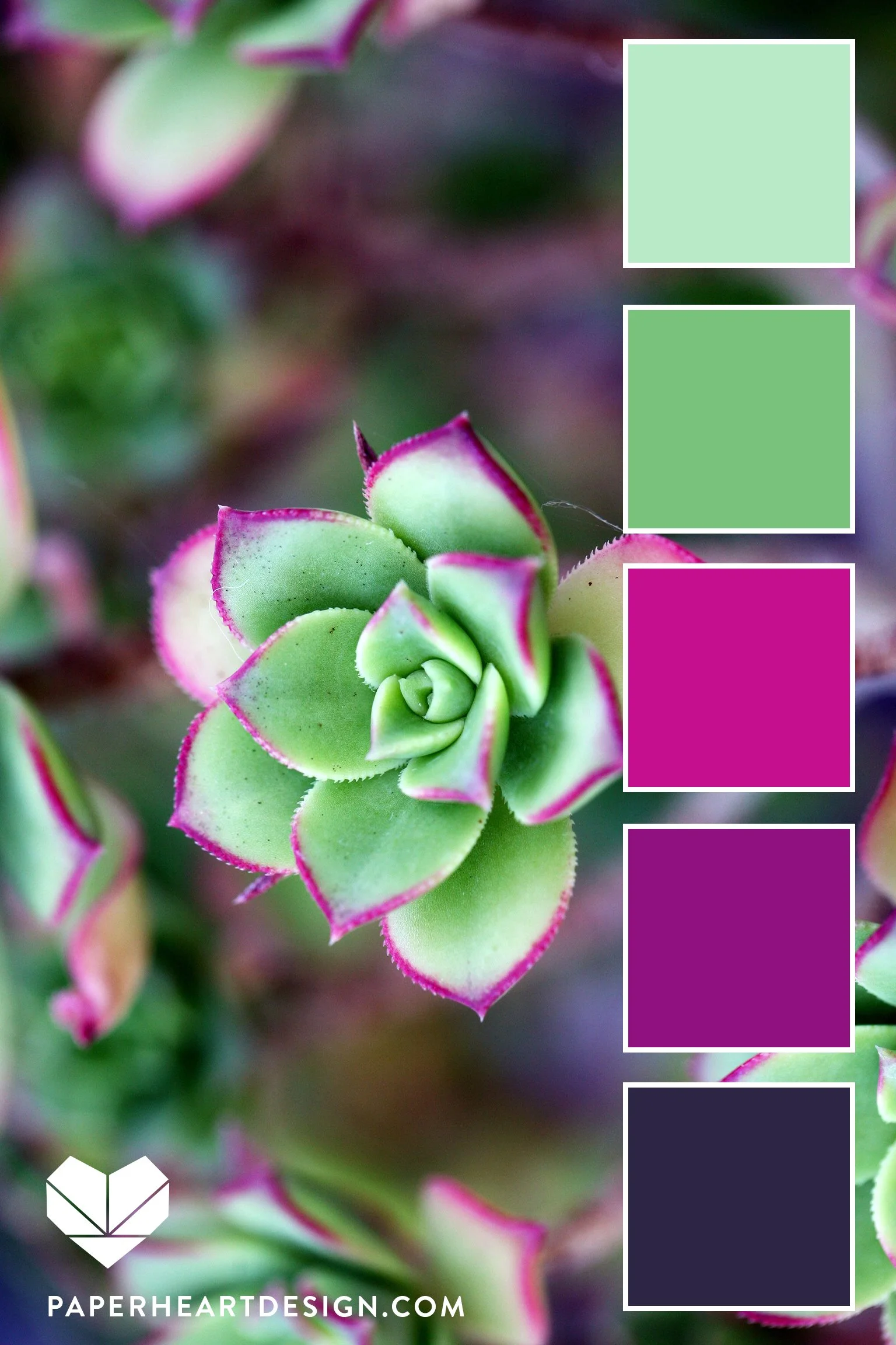 Color Palette: Top 10 of 2022 — Paper Heart Design Co.