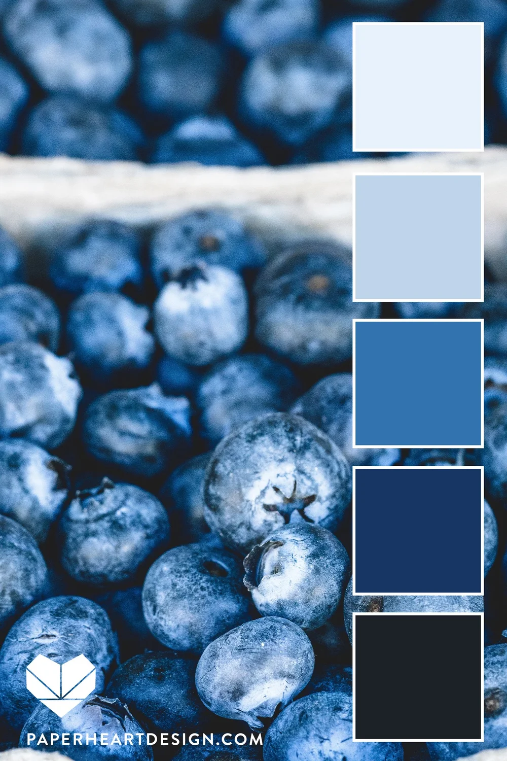 Color Palette: Pale Blue — Paper Heart Design Co.