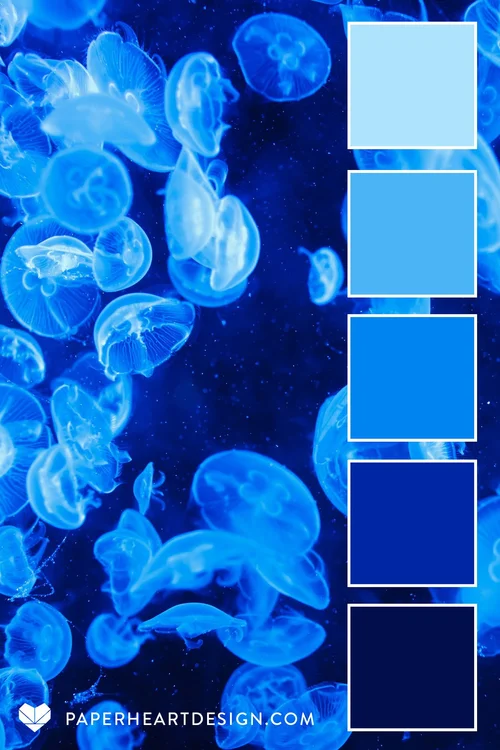 Color Palette: Brilliant Jellyfish — Paper Heart Design Co.