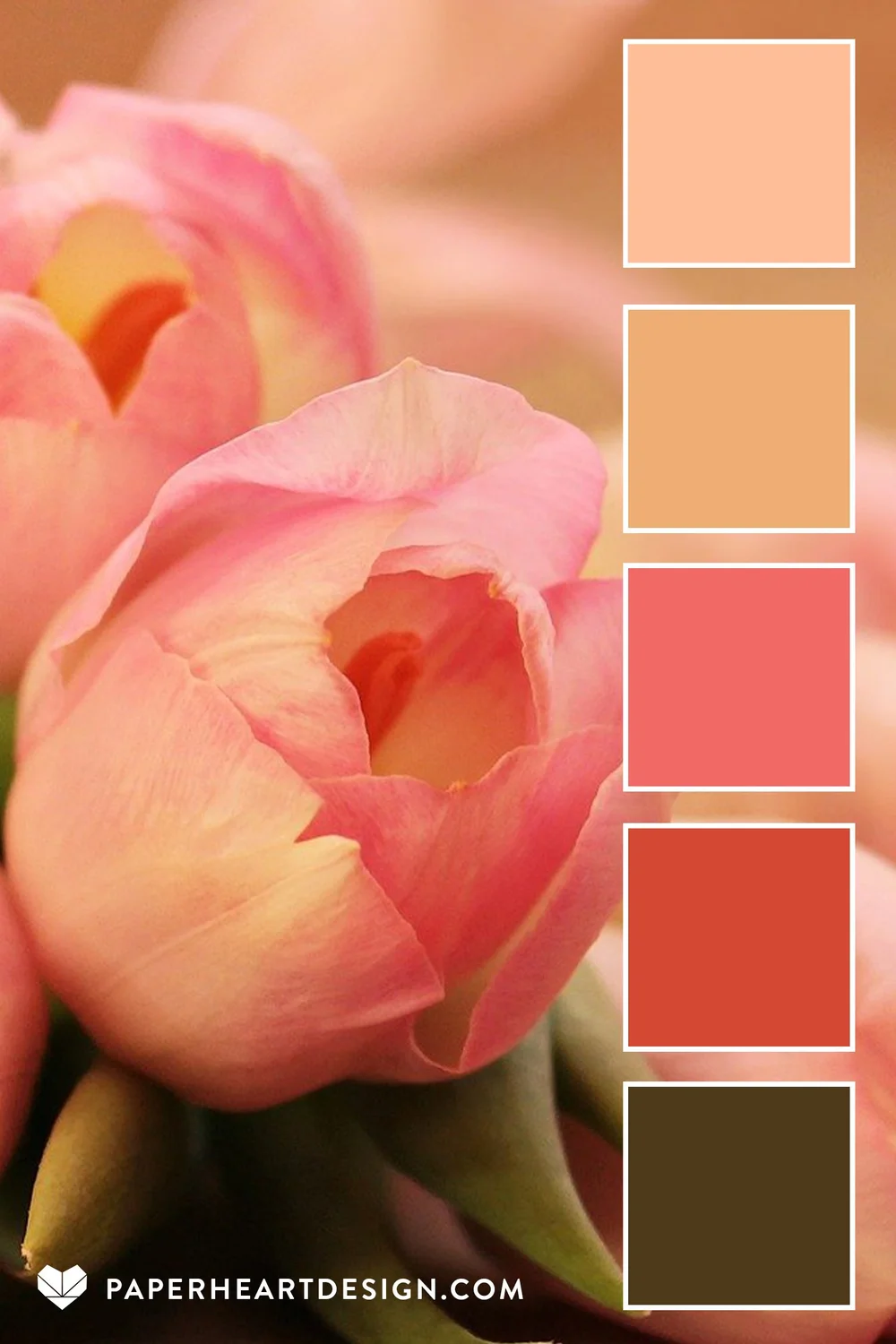 Color Palette: Peach Fuzz Pantone 2024 Color of the Year — Paper Heart ...