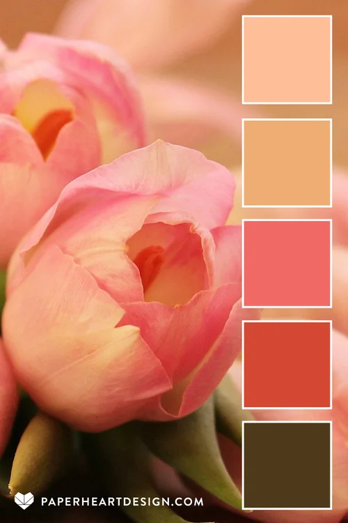 Color Palette: Peach Fuzz Pantone 2024 Color of the Year — Paper Heart ...