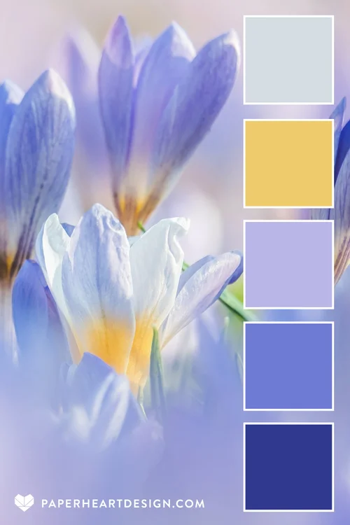 Color Palette: Spring Sweetness — Paper Heart Design Co.