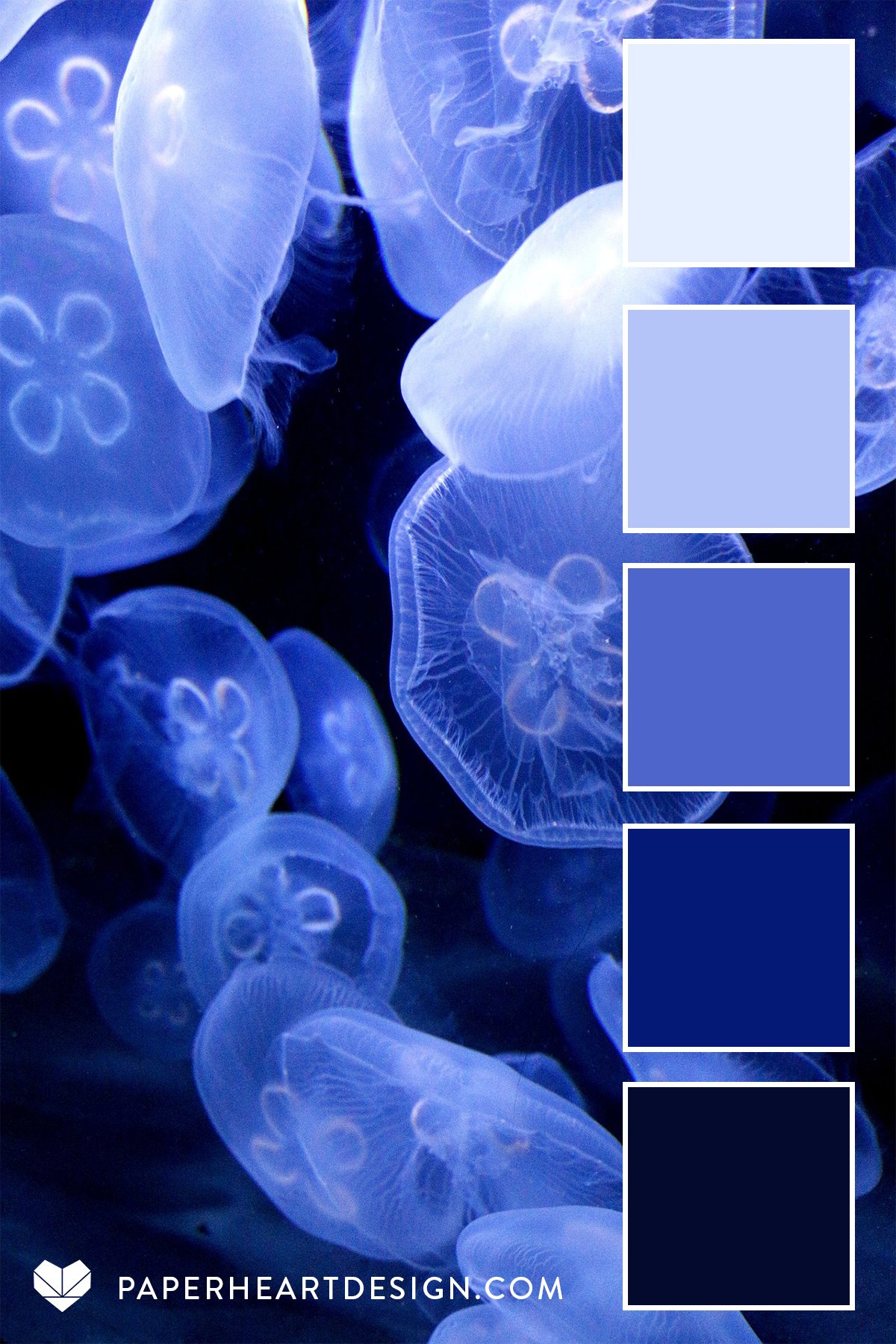 Color Palette: Brilliant Jellyfish — Paper Heart Design Co.