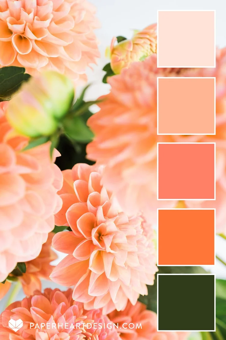 Color Palette: Doting on Dahlias — Paper Heart Design Co.