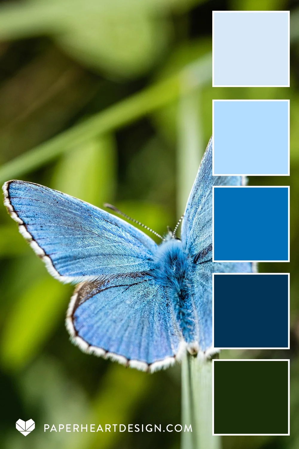 Color Palette: Pale Blue — Paper Heart Design Co.
