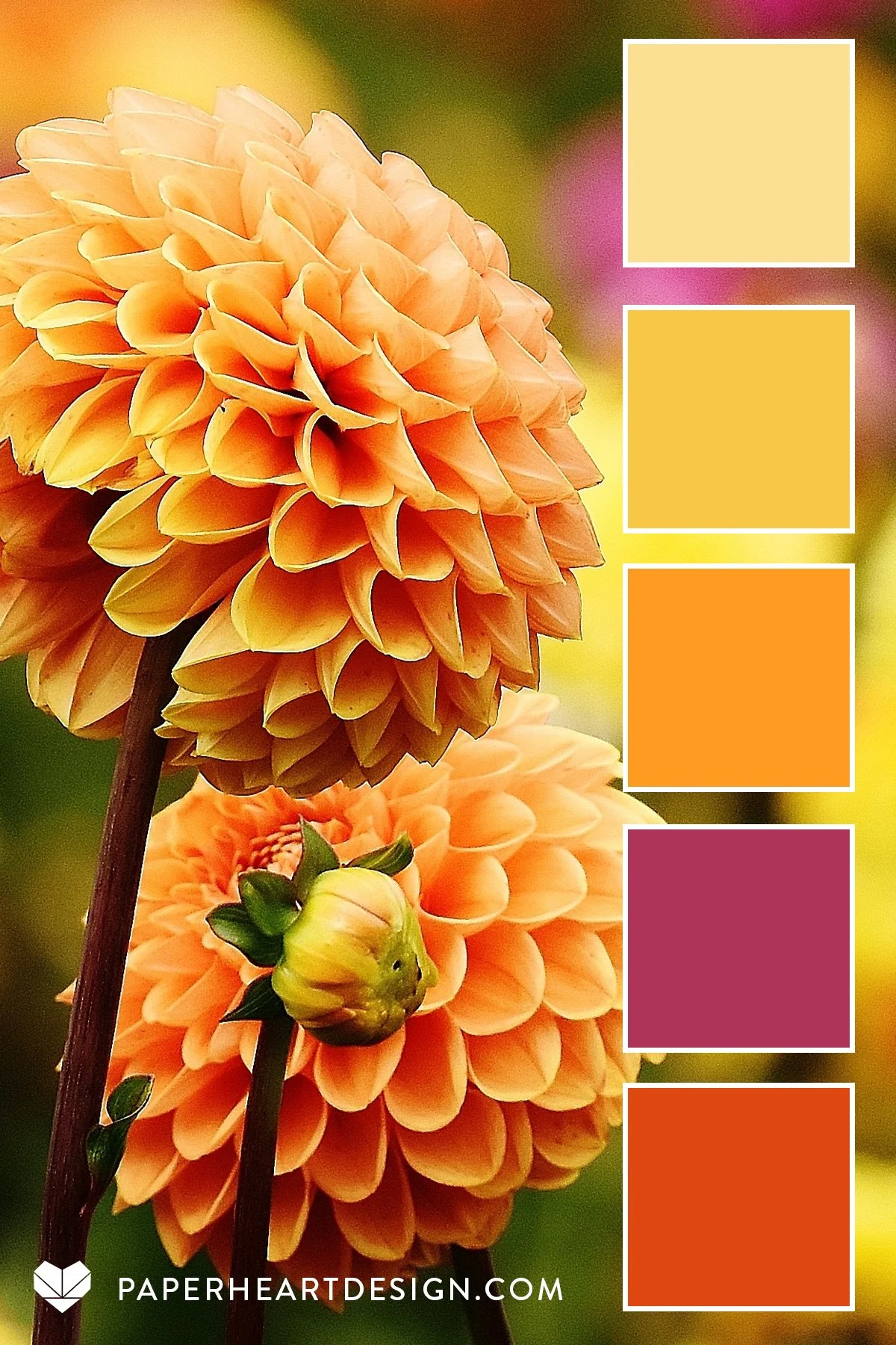 Color Palette: Doting on Dahlias — Paper Heart Design Co.