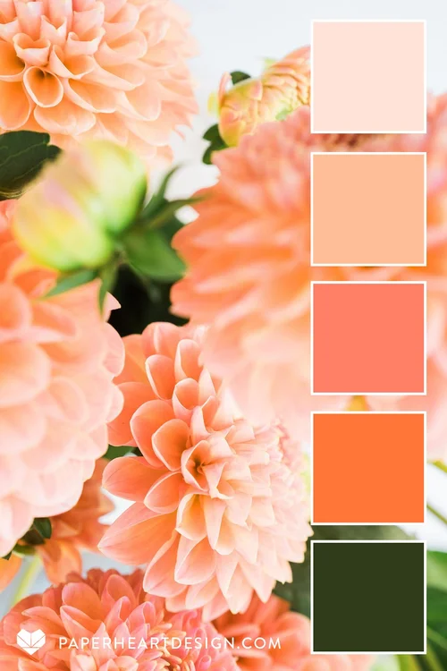 Color Palette: Peach Fuzz Pantone 2024 Color of the Year — Paper Heart ...