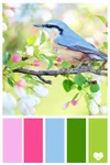 Color Palette: Spring Sweetness — Paper Heart Design Co.