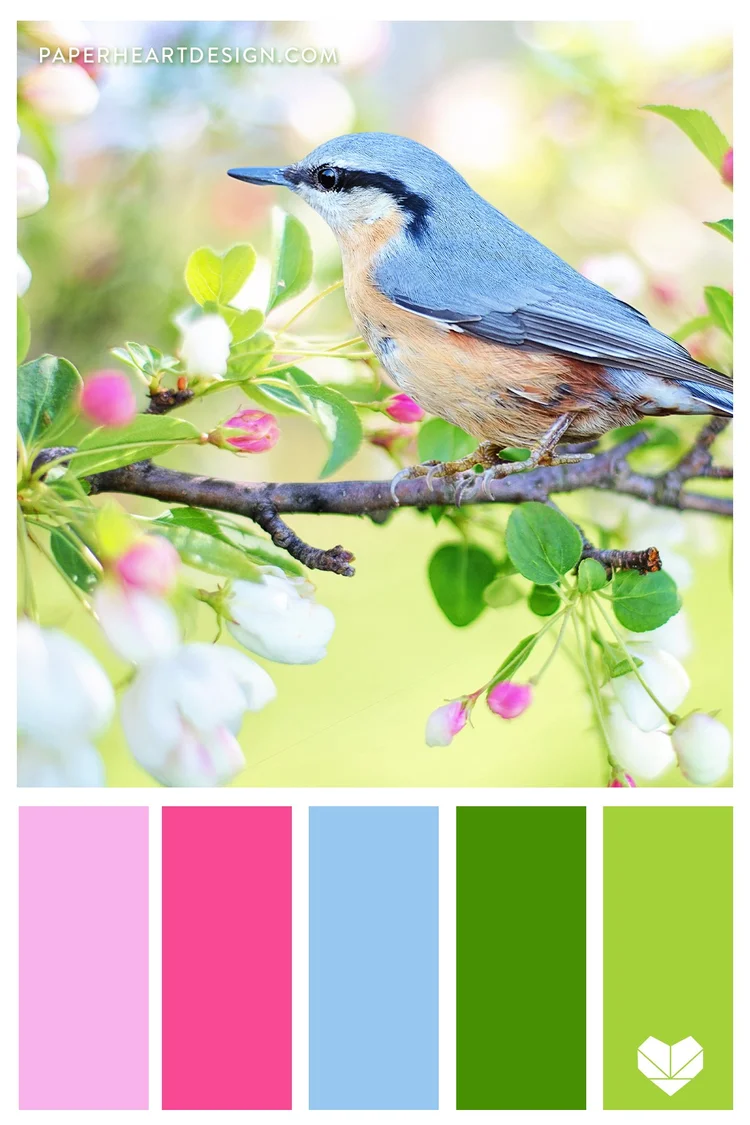 Color Palette: Spring Sweetness — Paper Heart Design Co.