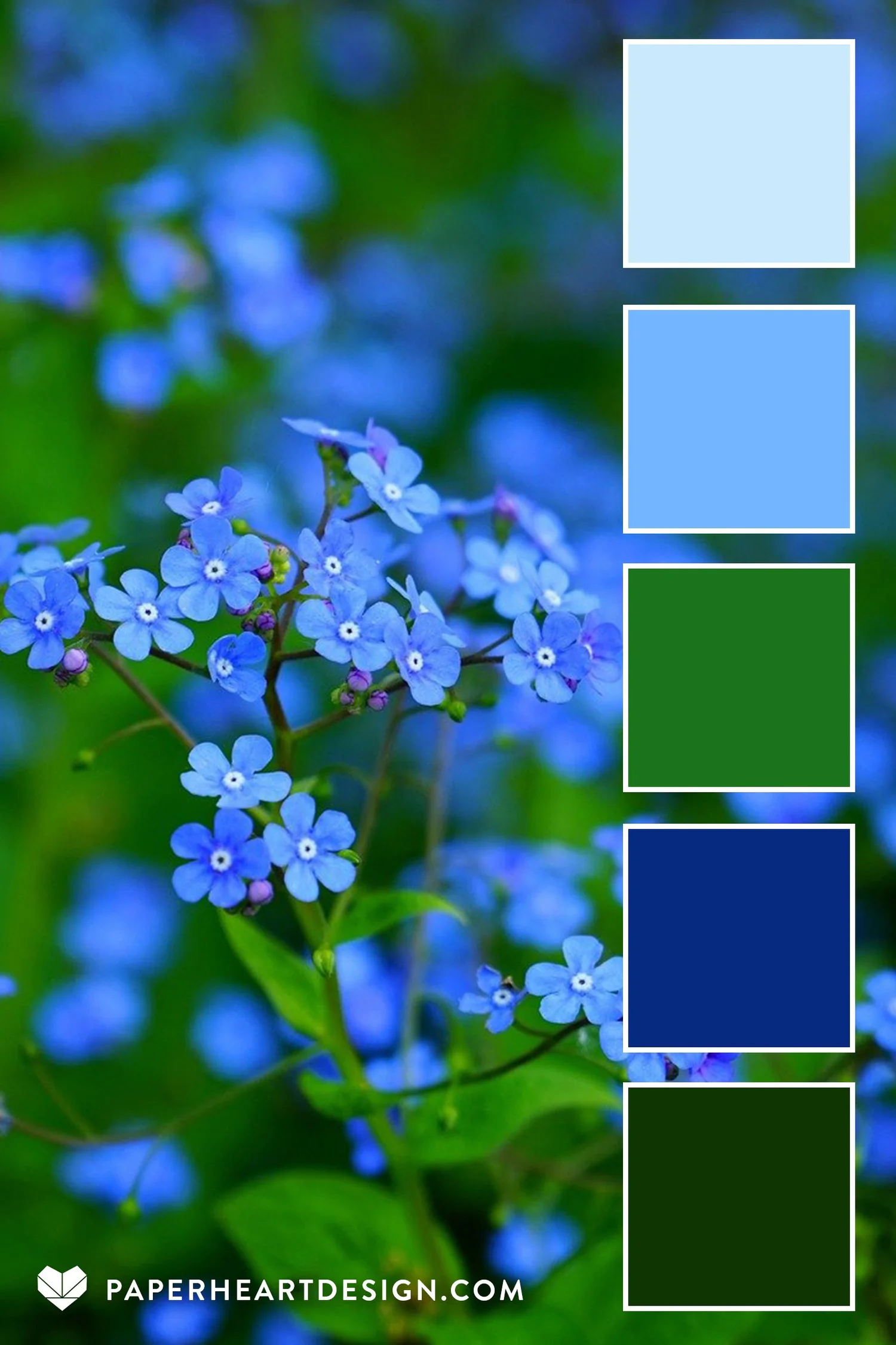 Color Palette: Spring Sweetness — Paper Heart Design Co.