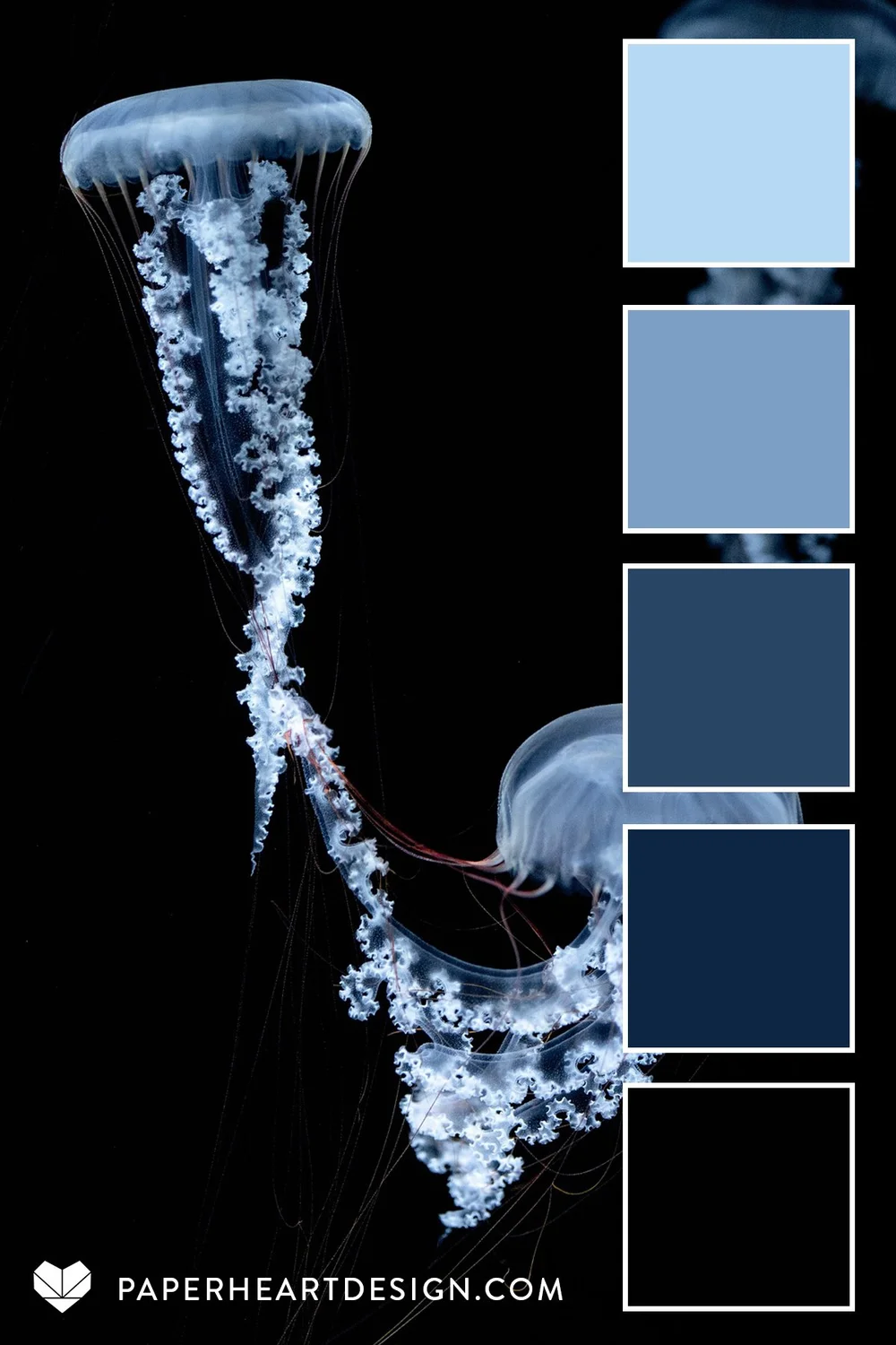 Color Palette: Brilliant Jellyfish — Paper Heart Design Co.