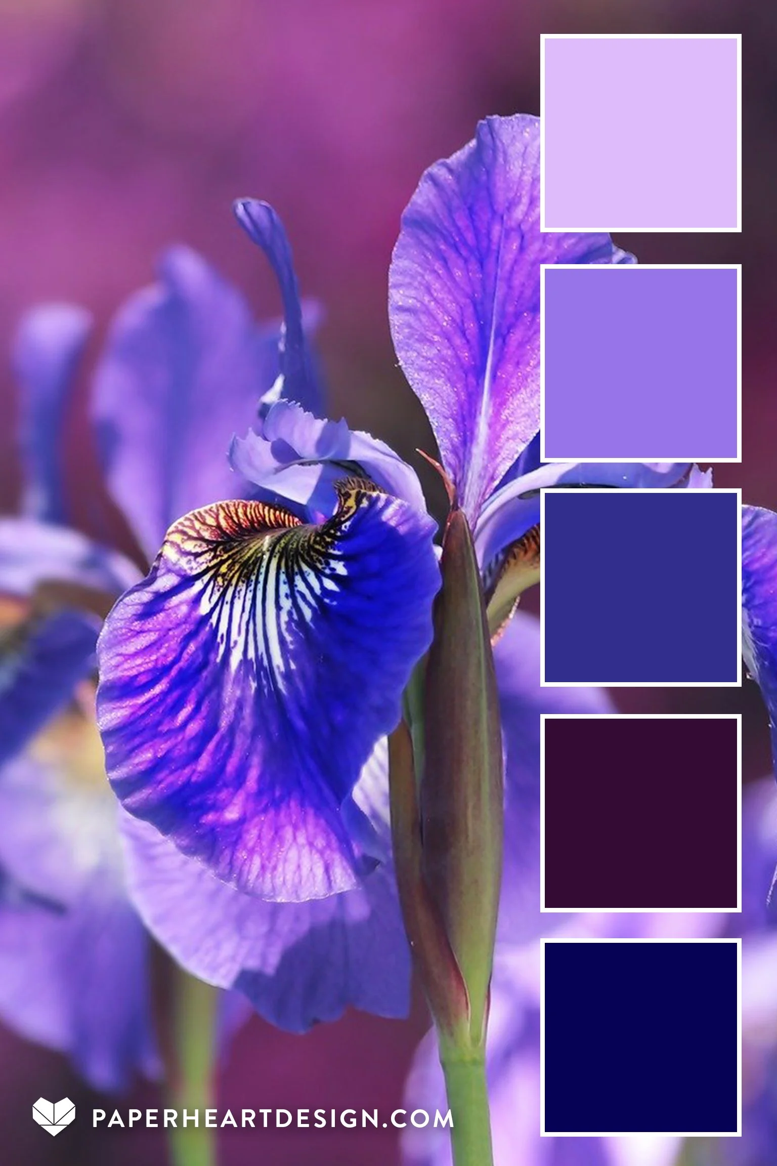 Color Palette: Spring Sweetness — Paper Heart Design Co.