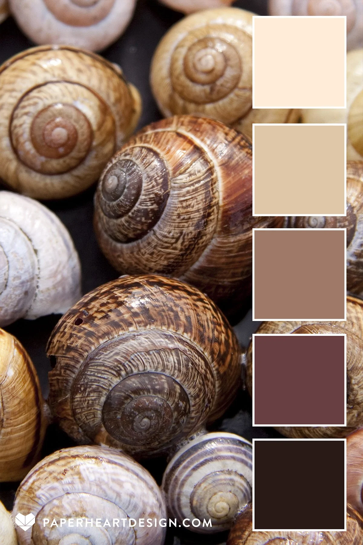 Color Palette: Mocha Mousse Pantone 2025 Color of the Year — Paper ...