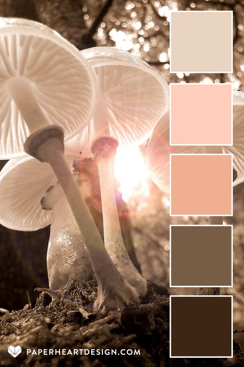 Color Palette: Mushroom Magic — Paper Heart Design Co.