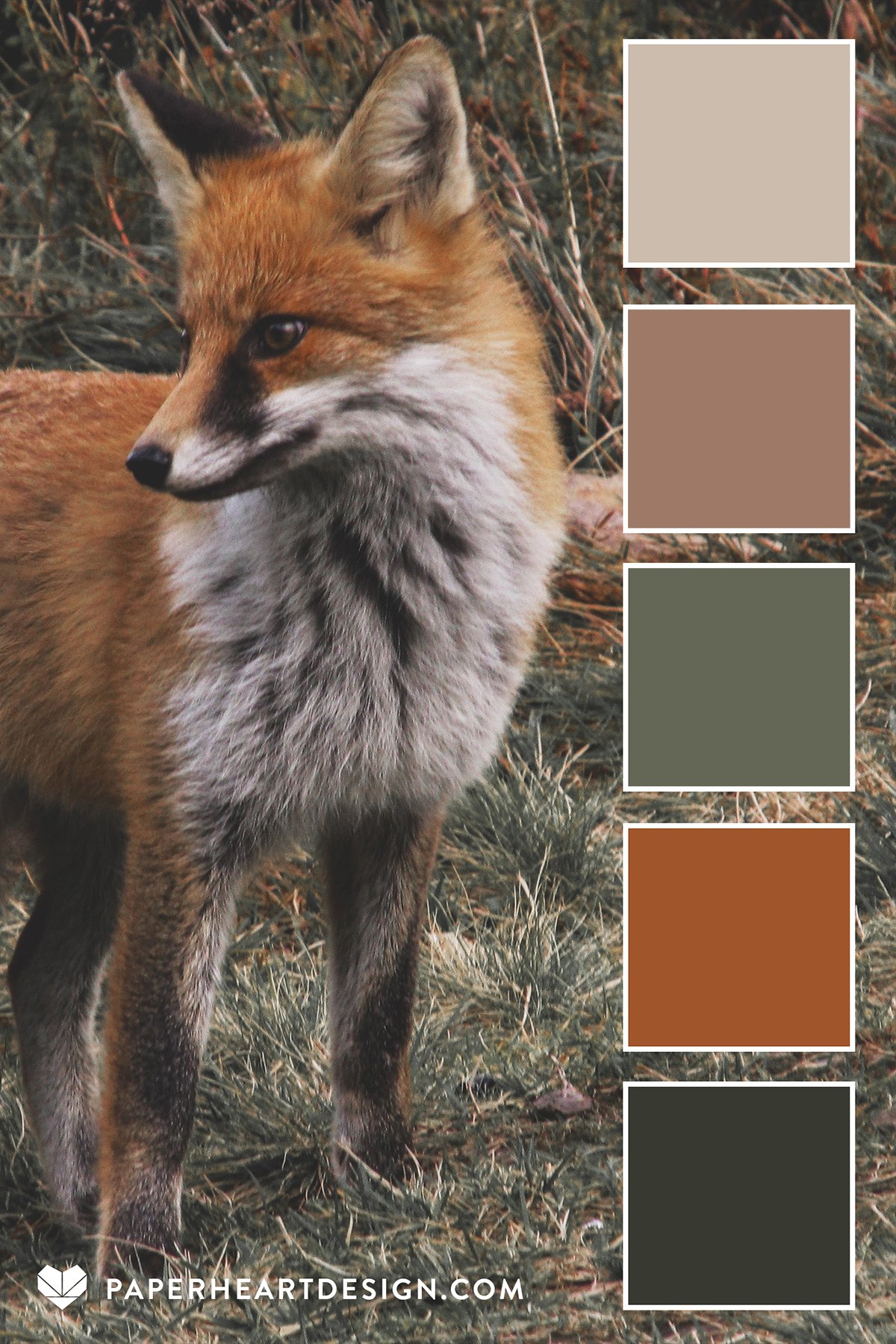 Color Palette: Mocha Mousse Pantone 2025 Color of the Year — Paper ...