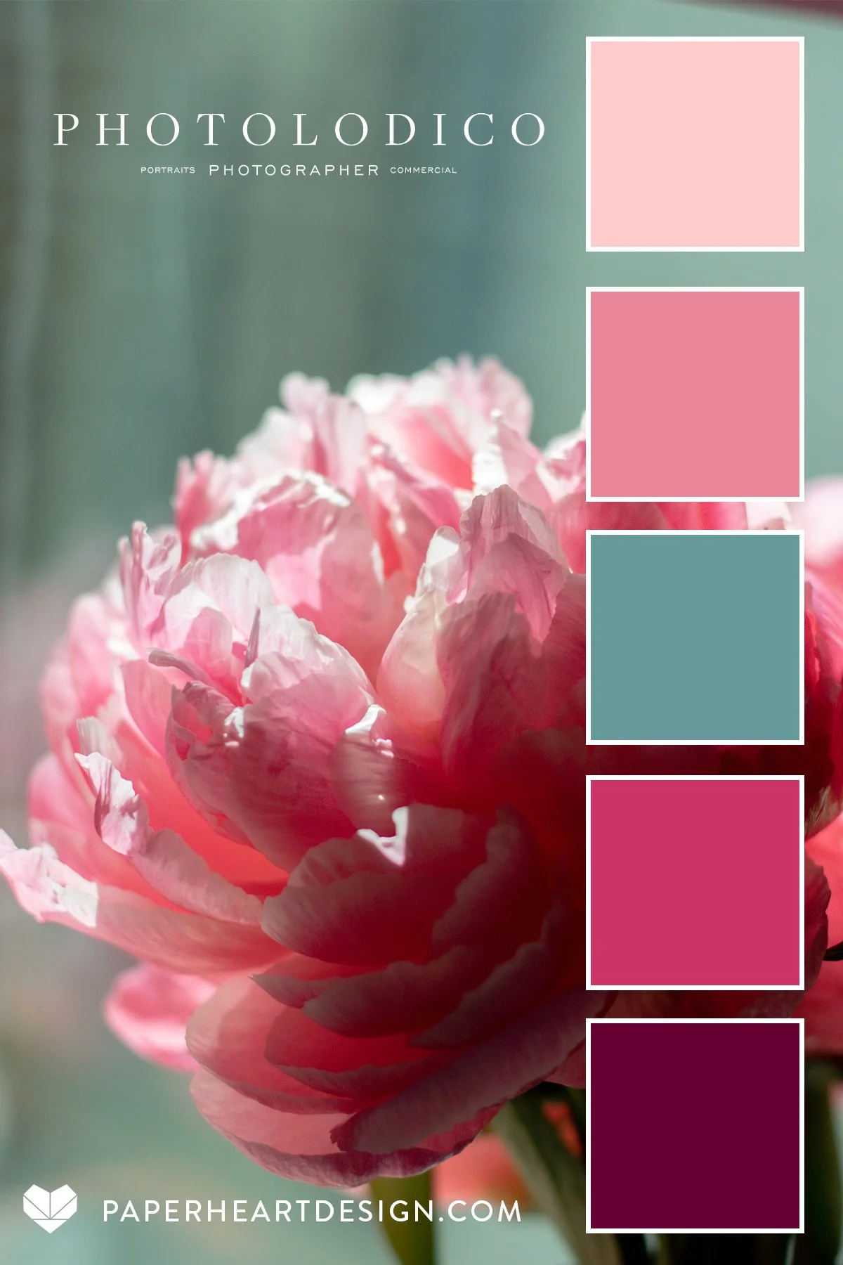 Color Palette: Perfect Peonies from photolodico — Paper Heart Design Co.